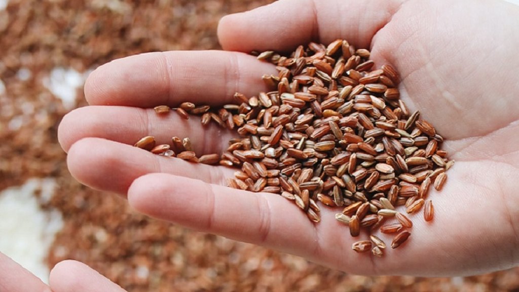 Waar zitten veel voedingsvezels in? | Gezonde darmen