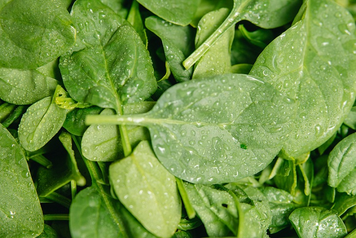 Waar zit magnesium in? | Top 10 voeding met magnesium